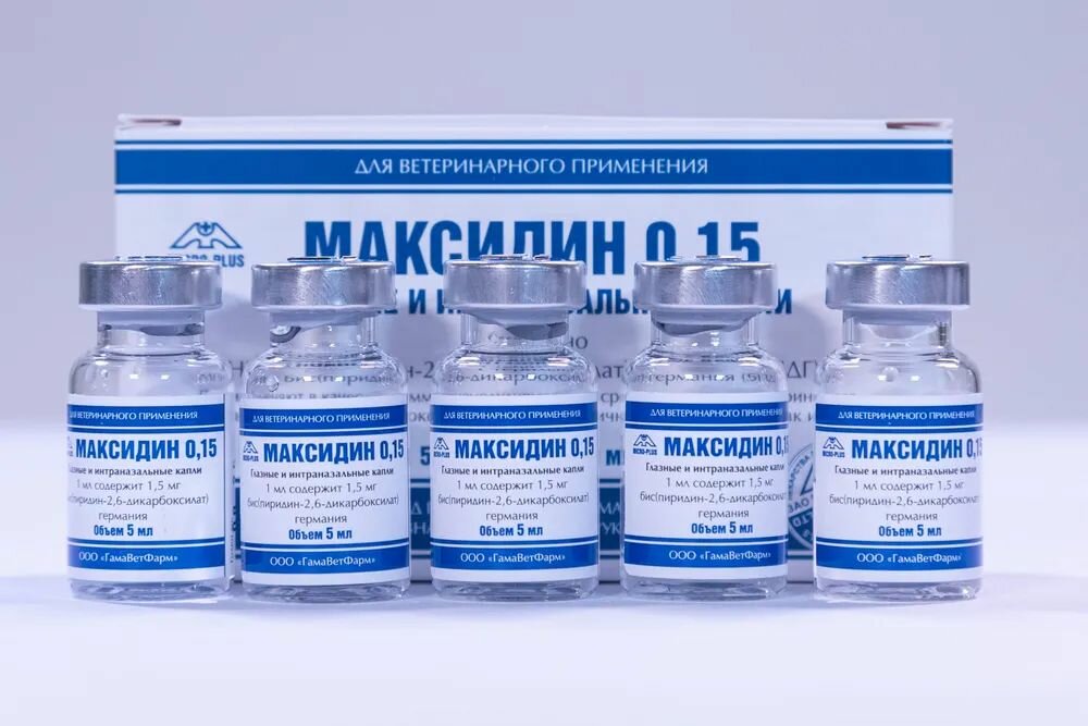 Микро-плюс Максидин 0,15 глазные интраназальные капли, 5фл по 5мл — фото 1
