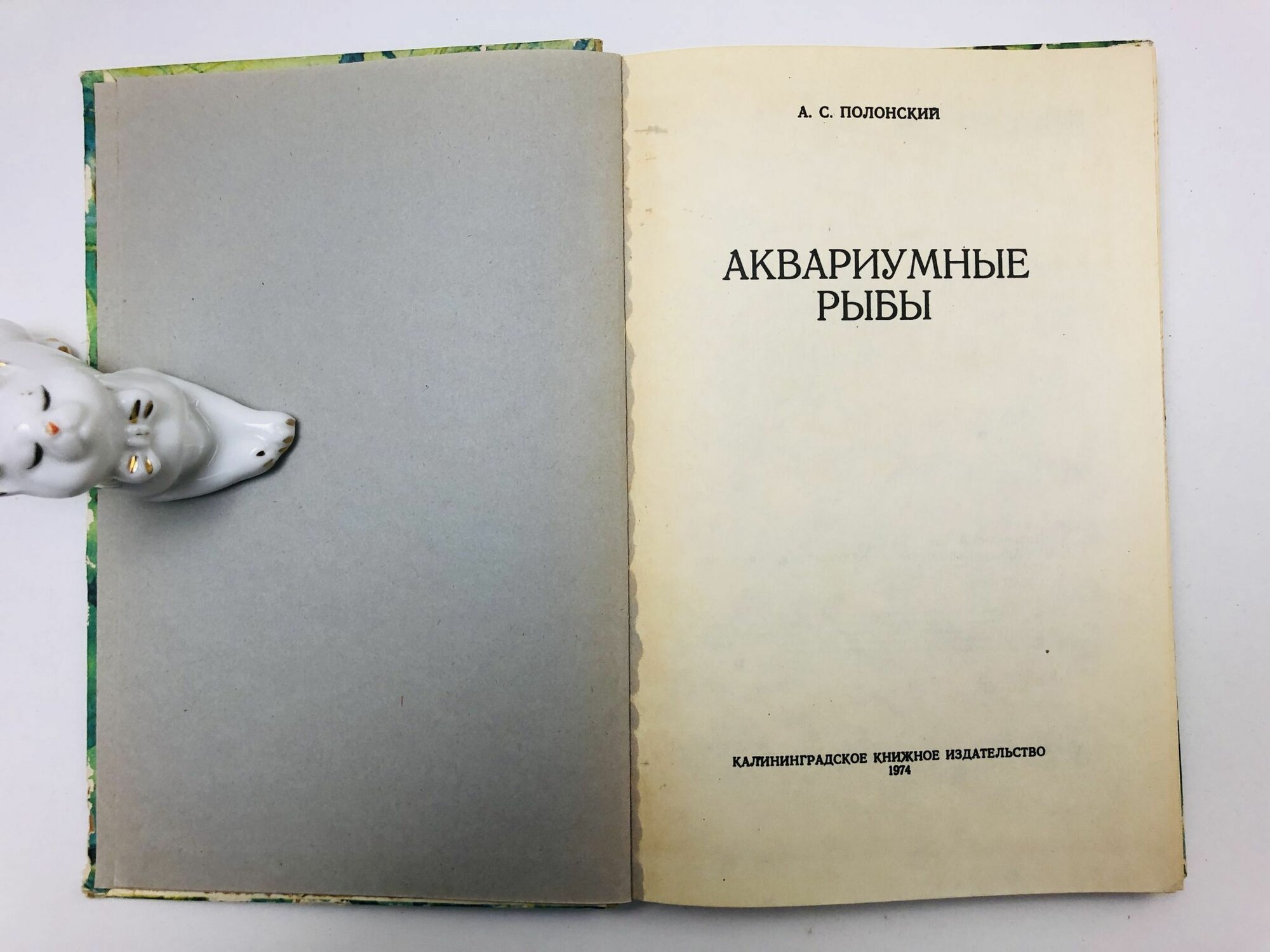 Аквариумные рыбы — фото 1