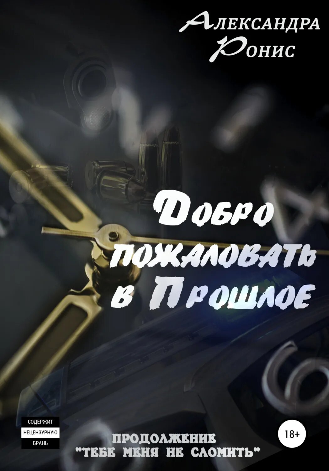 Добро пожаловать в прошлое! [Цифровая книга]