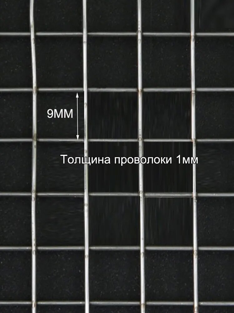 Колючая проволока — фото 1