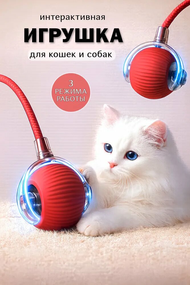 Игрушка для кошек и собак, интерактивный мячик с хвостиком, дразнилка для котят