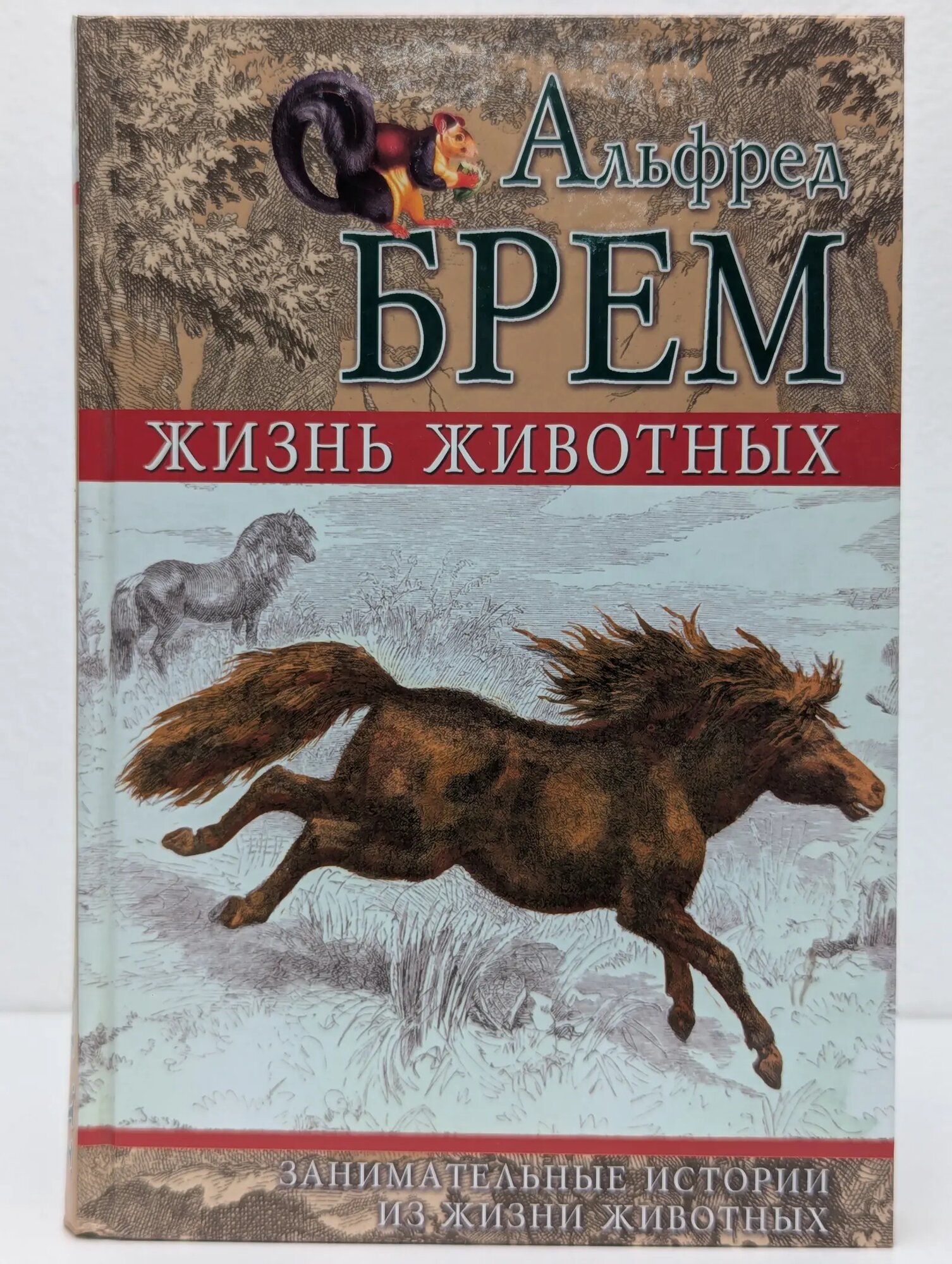 Жизнь животных. Занимательные истории из жизни животных Брем Альфред 2009