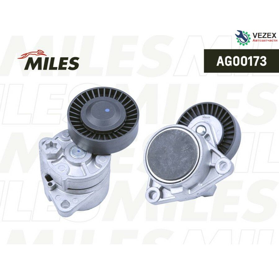 MILES AG00173 Натяжитель ремня приводного KIA CARNIVAL/HYUNDAI TERRACAN 2.9D 99- AG00173