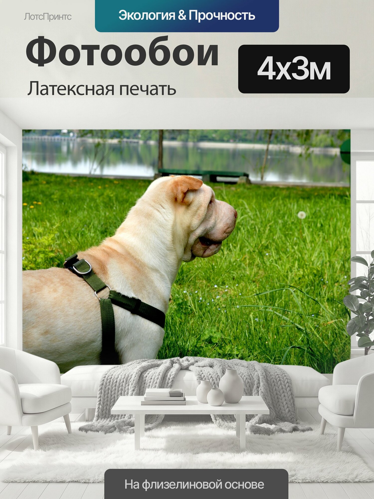 Фотообои моющиеся ударопрочные "Шарпей, собака, трава" 400x300 см. латексная печать
