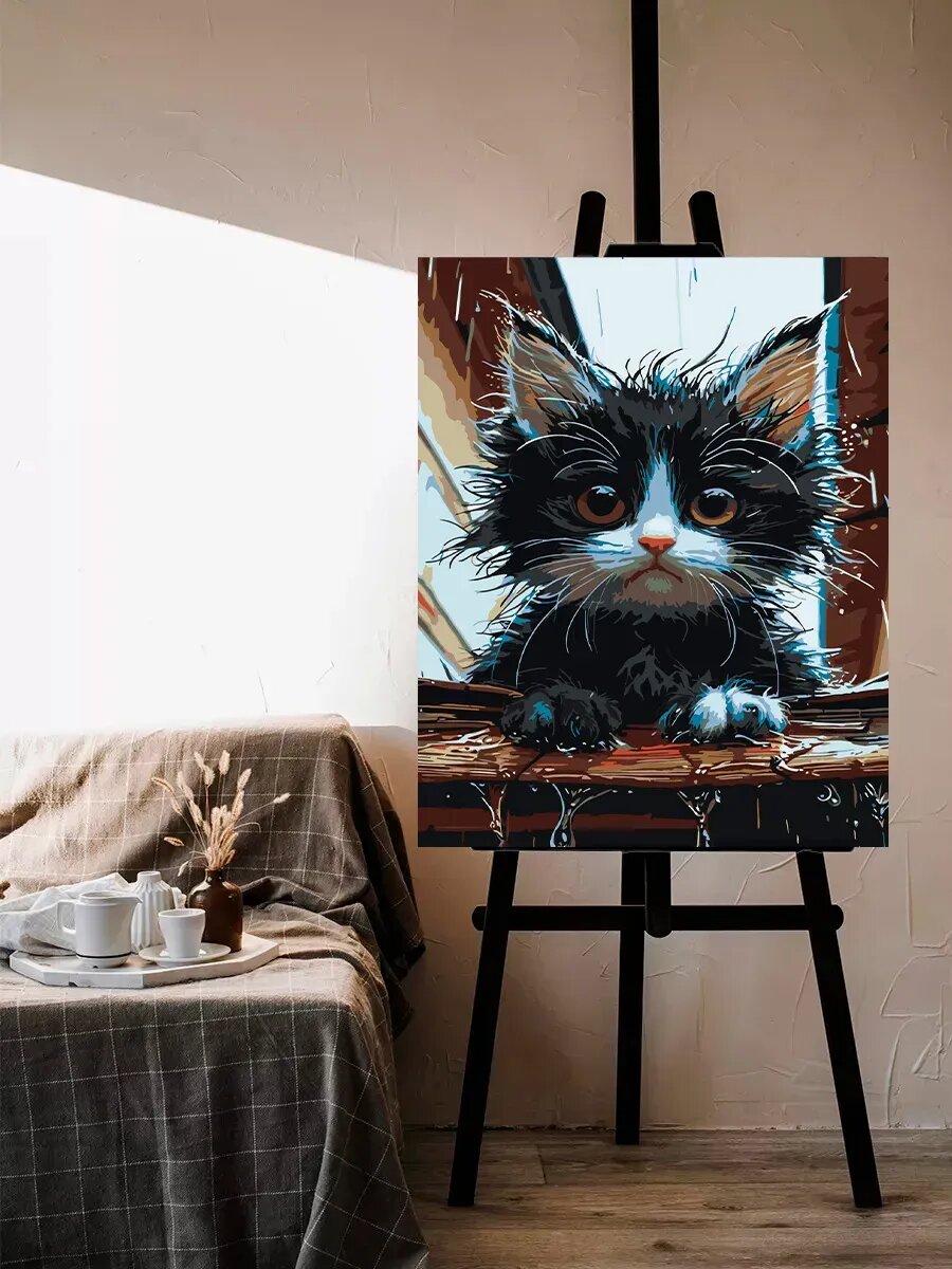 Картина по номерам Мокрый Котик Животное Кот