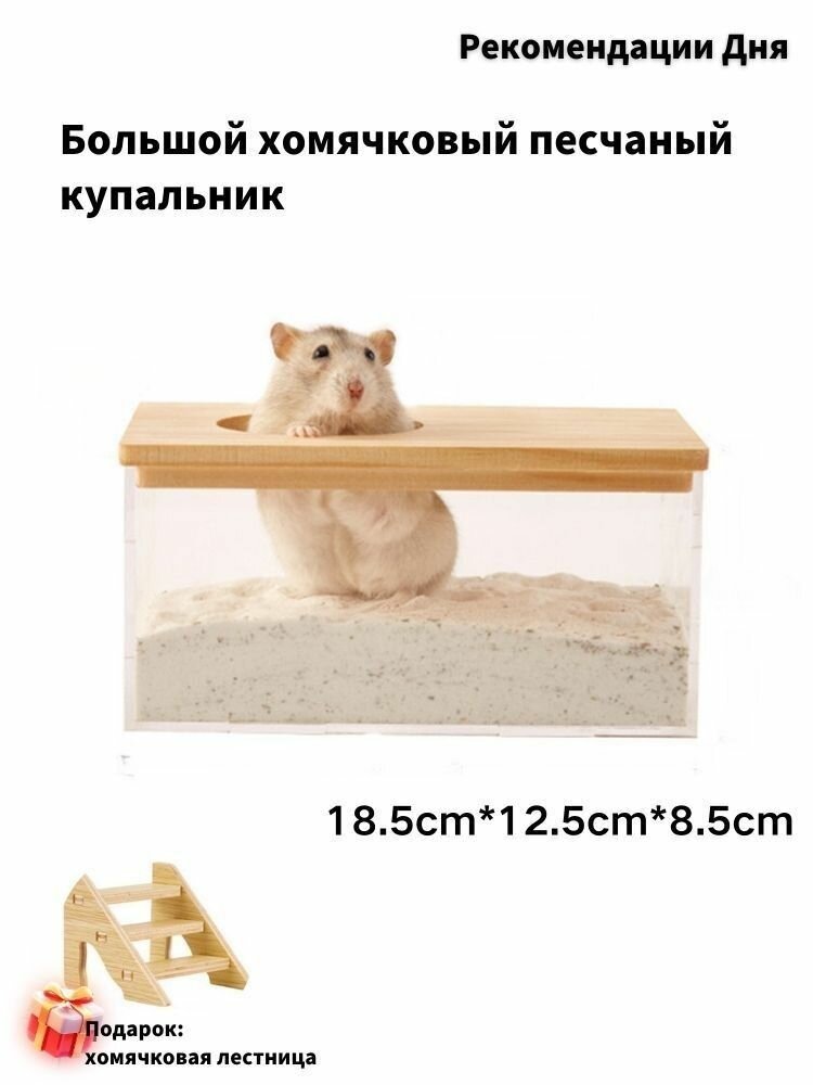 Купалка для мелких грызунов/Домик для хомяков, Бесплатная лестница для хомяка