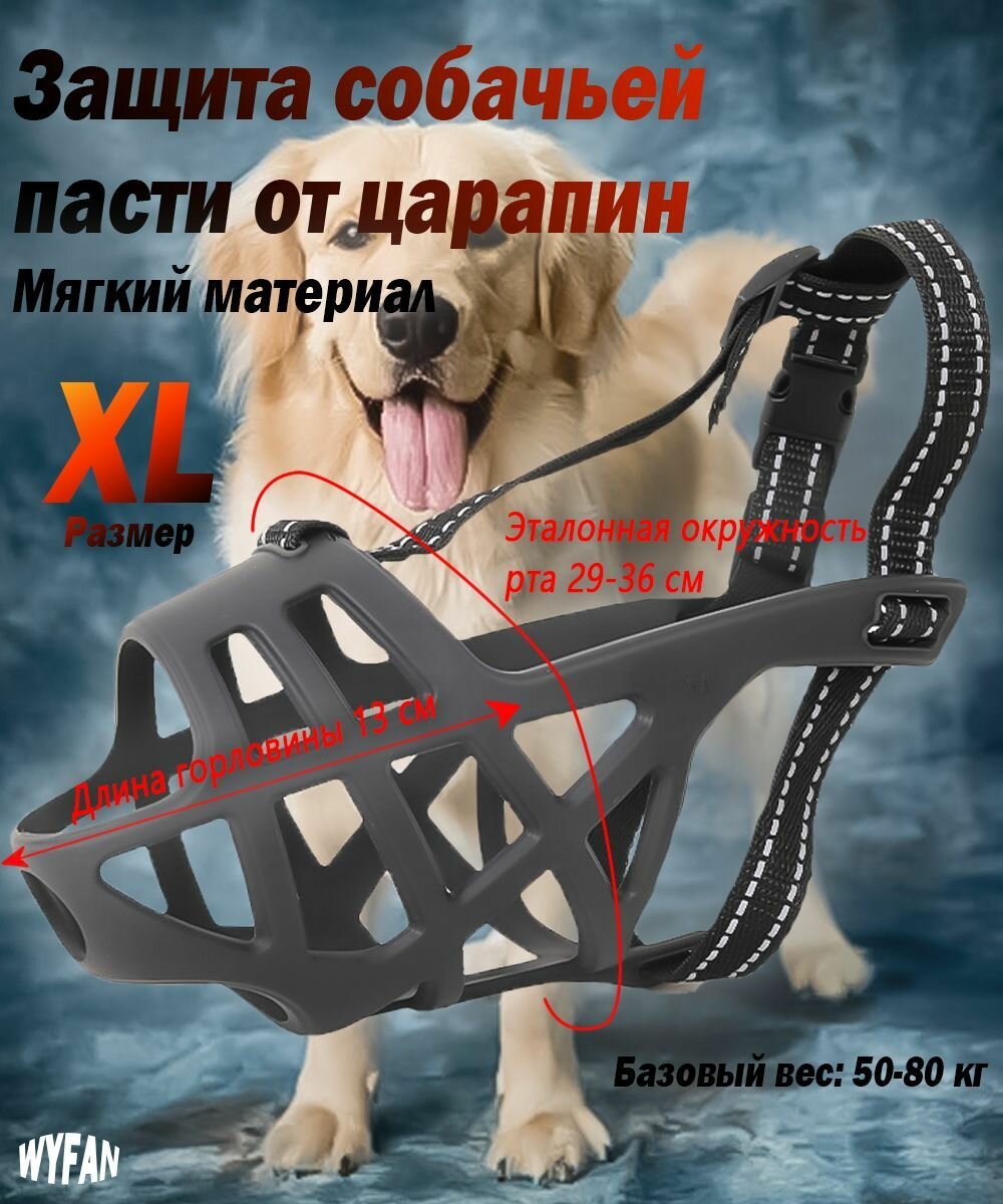 Намордник