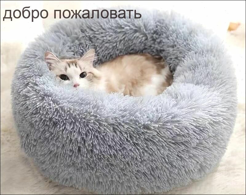 Pet Bed — фото 1