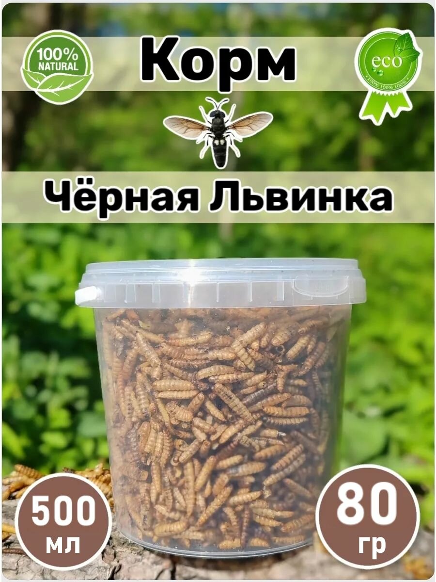 Корм для крыс, хомяков, птиц, черепах черная львинка и лакомство для грызунов, попугаев, водных и сухопутных черепах и рептилий