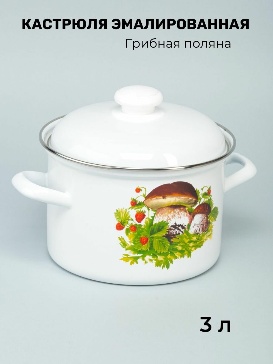 Кастрюля эмалированная 3 л с ободком