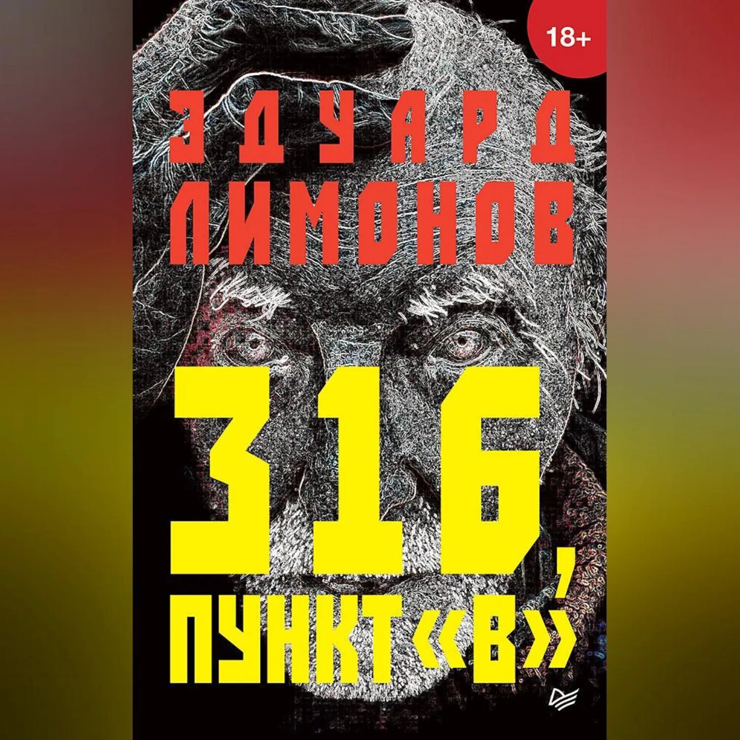 316, пункт «В» [Аудиокнига]
