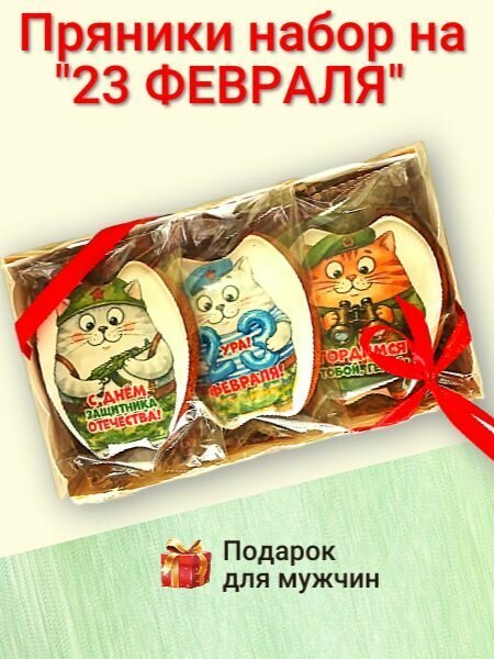Пряники набор на 23 февраля для мужчин fit_fruit74, имбирные медовые в подарочной коробке.