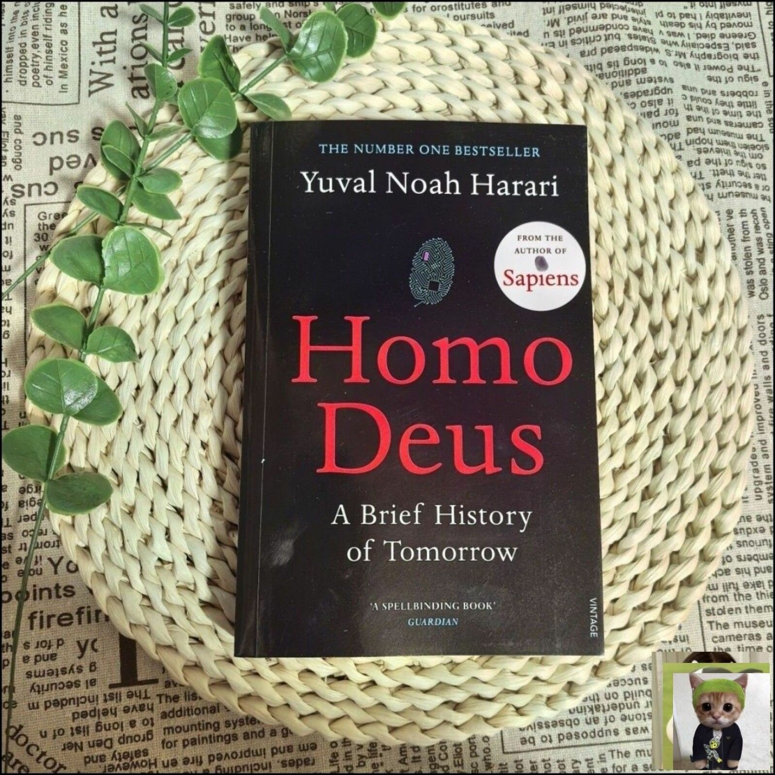 Юваль Ной Харари Homo Deus: Краткая история будущего. Книга на английском языке, философия, научно-популярная литература
