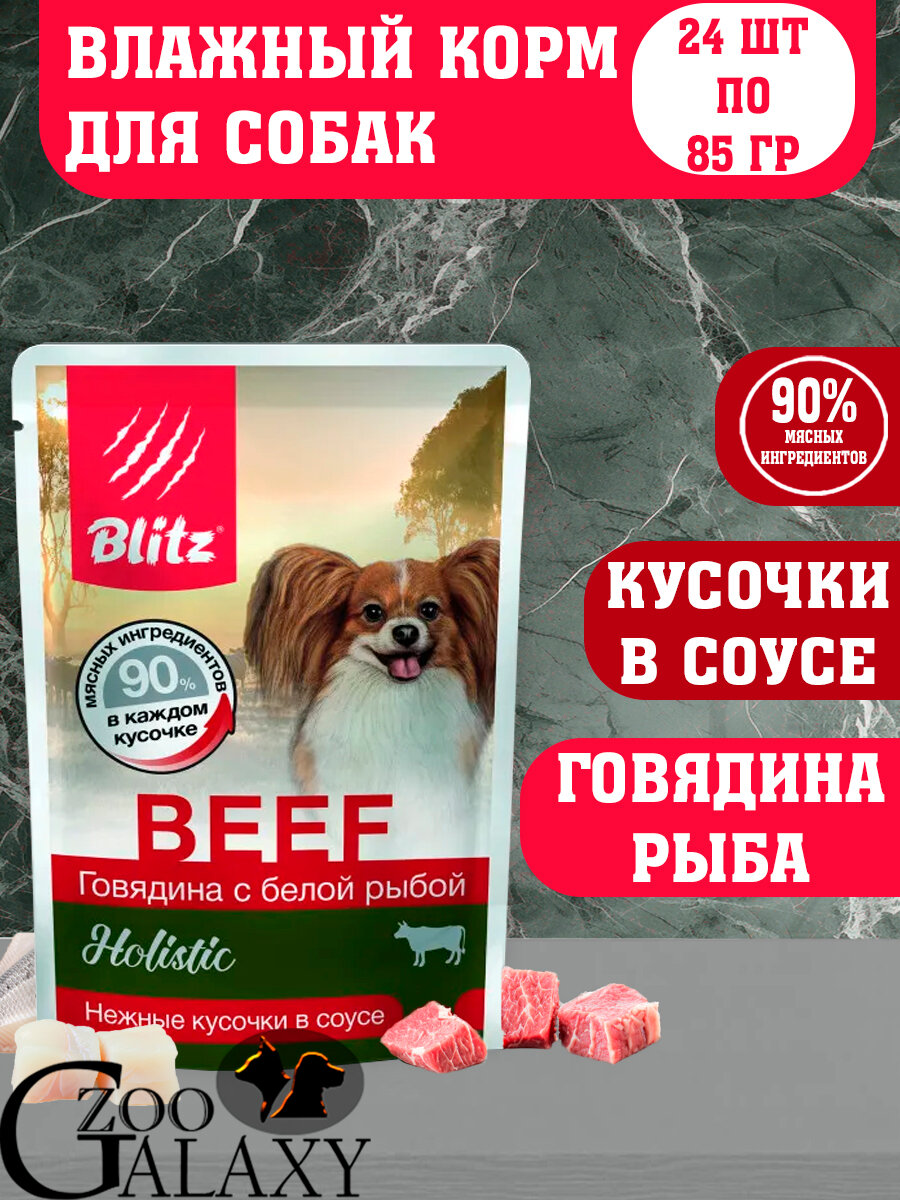Blitz Holistic паучи для собак мелких пород, говядина и рыбой 24х85 г