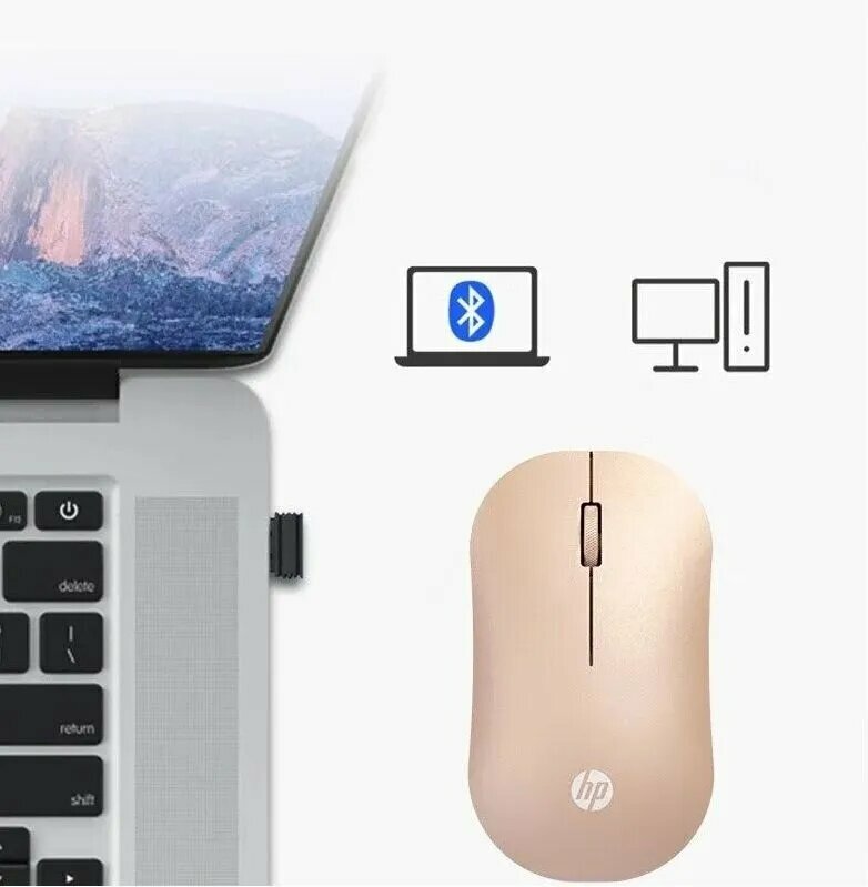 HP Мышь беспроводная Беспроводная мышь HP DM10, бежевый