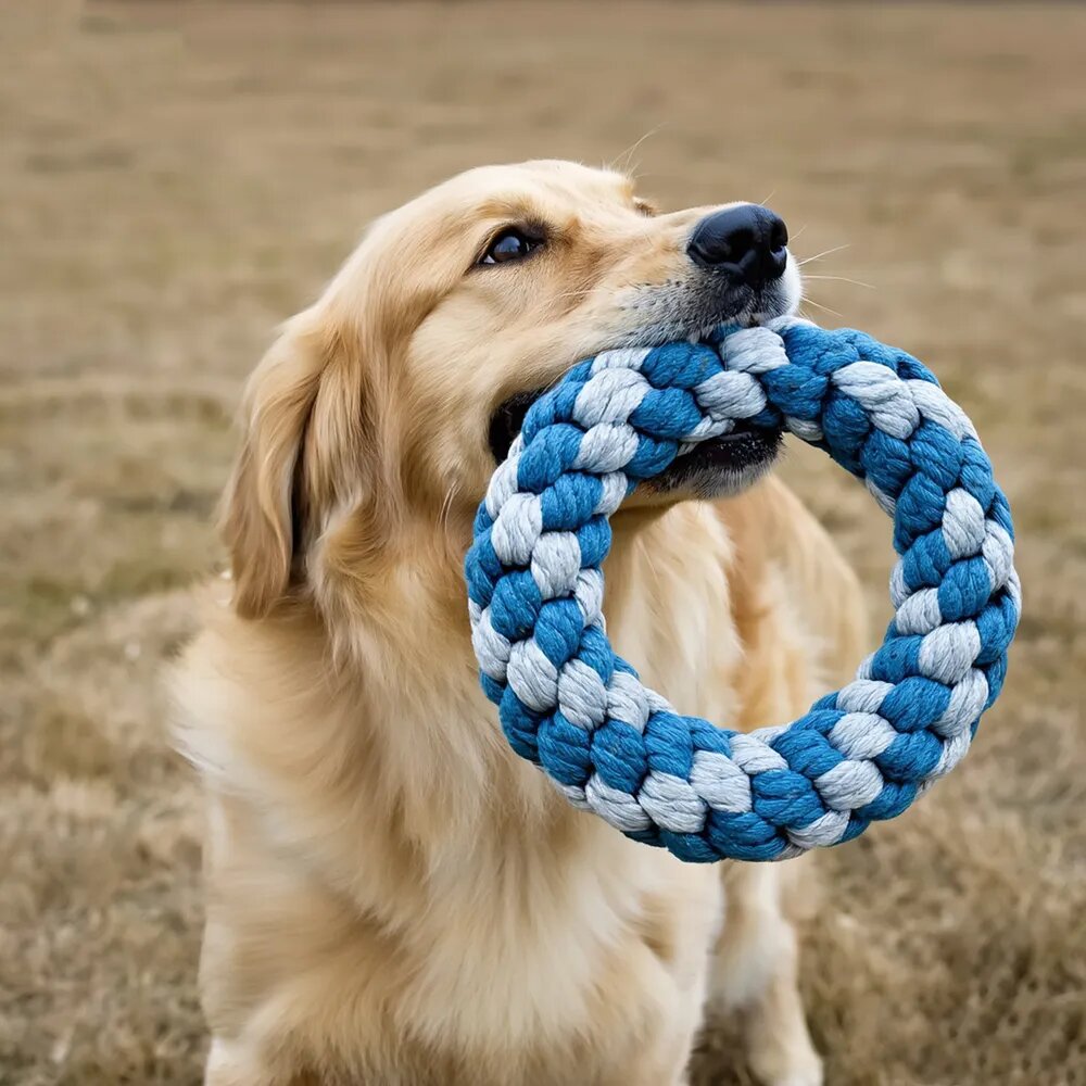 Игрушка для собак из хлопкового каната, прочная для жевания и чистки зубов, узелковый мяч, игрушка для взаимодействия с щенками золотистого ретривера и бордер-колли