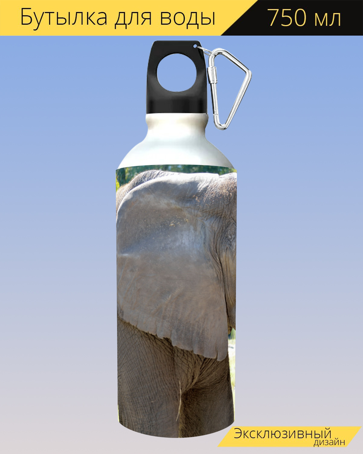 Бутылка фляга для воды "Слон крупным планом Слон в заповеднике дикой природы слон большой млекопитающее дикая природа природа заповедник животных." 750 мл. с карабином и принтом