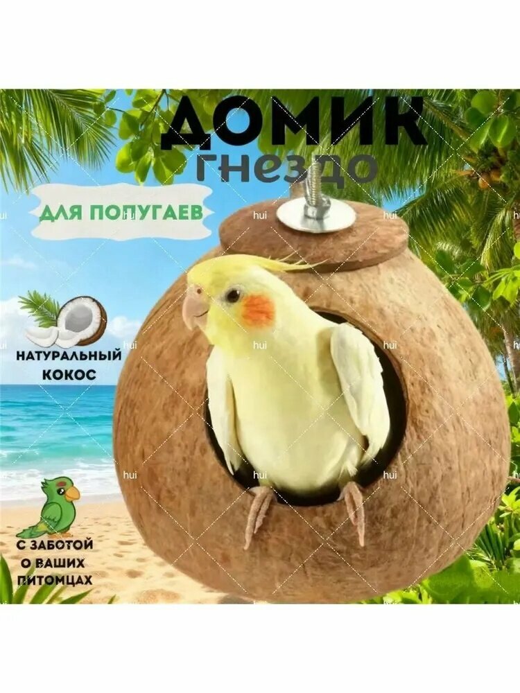 Гнездо для попугая из натурального кокоса и мусора, диаметр кокоса: 10-13 см, 1 шт