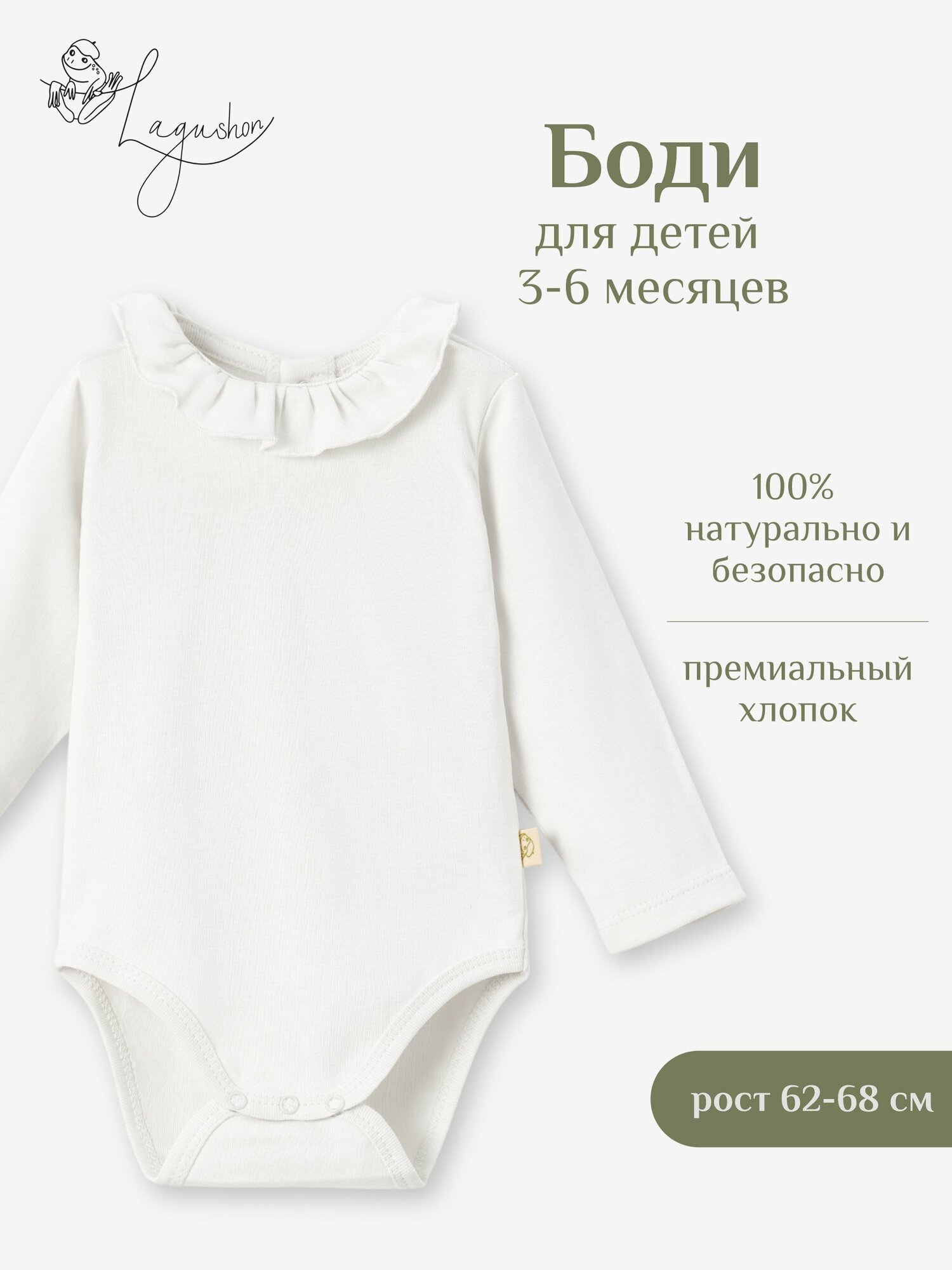 Боди