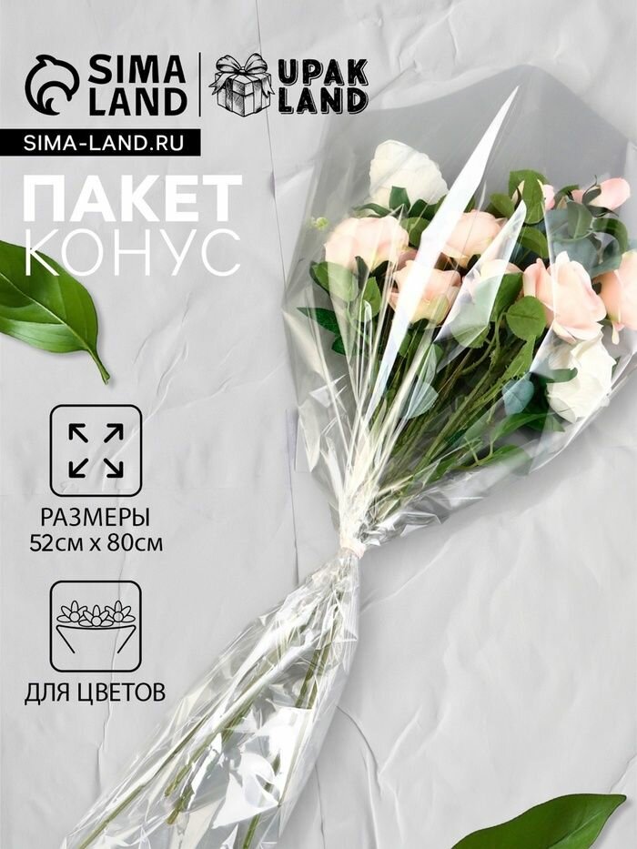 Пакет для цветов, конус под гладиолус, 14+52 80 см, прозрачный