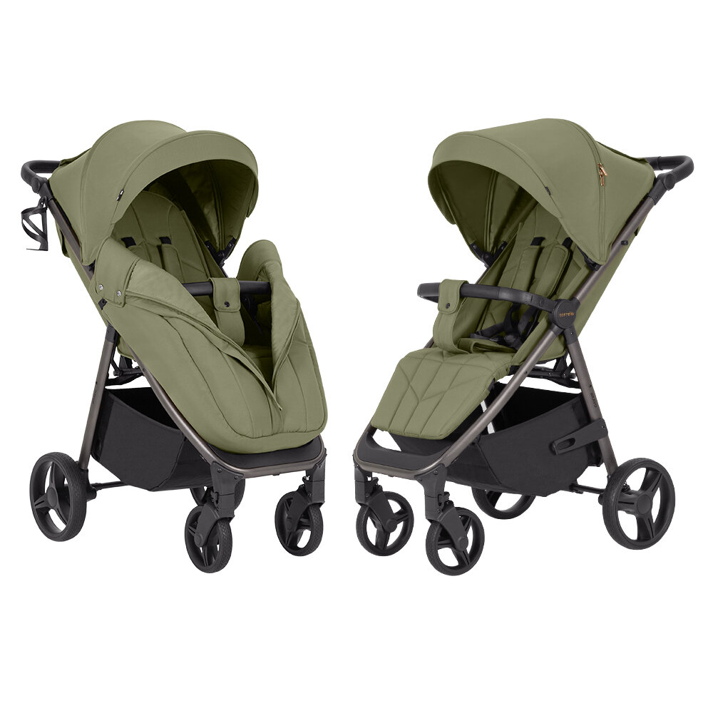 Прогулочная коляска CARRELLO Bravo CRL-8512, PU Bergamot, Green