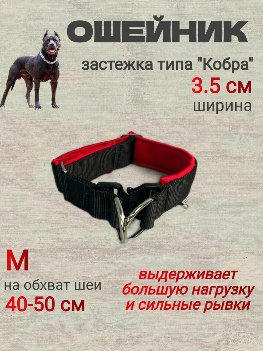 Ошейник для собак на застежке типа Кобра ширина 3.5 см, с мягким подкладом для средних и крупных пород, размер M