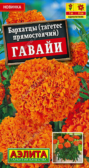 Семена аэлита "Бархатцы Гавайи", однолетние, густомахровые, 0,3 г