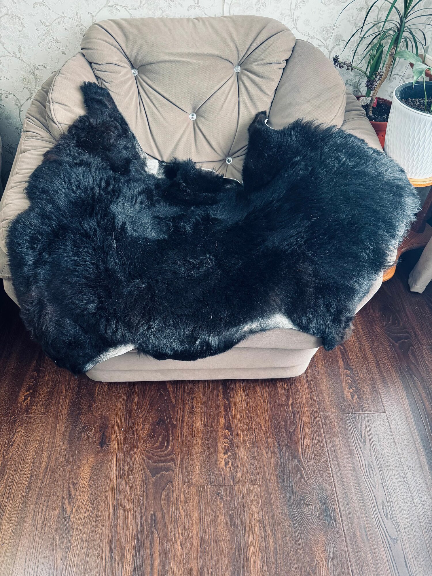 Ковер-накидка из натуральной овечьей шкуры (мех, овчина) для дома и авто