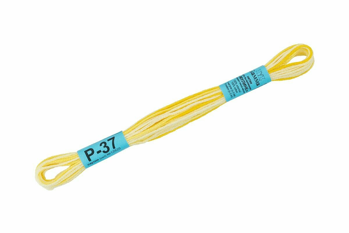 2 шт. Нитки для вышивания "Gamma" мулине меланж 100% хлопок 8 м Р-37 желтый-св. лимонный