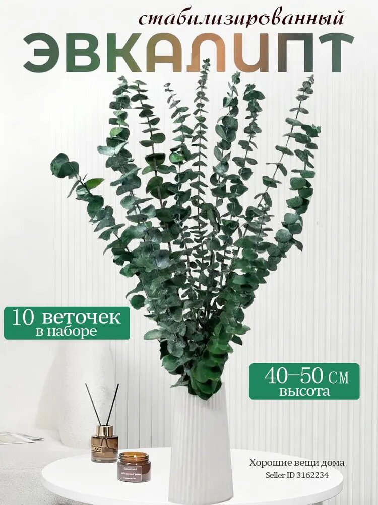 Сухоцветы Гипсофила, 16 см, 30 гр, 30 шт