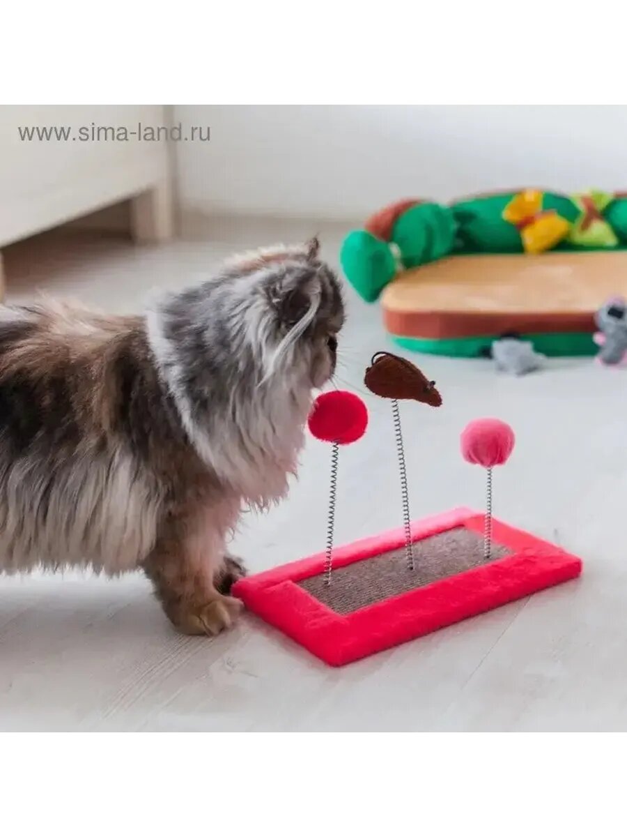 Развивающая игрушка с когтеточкой и дразнилками для кошек