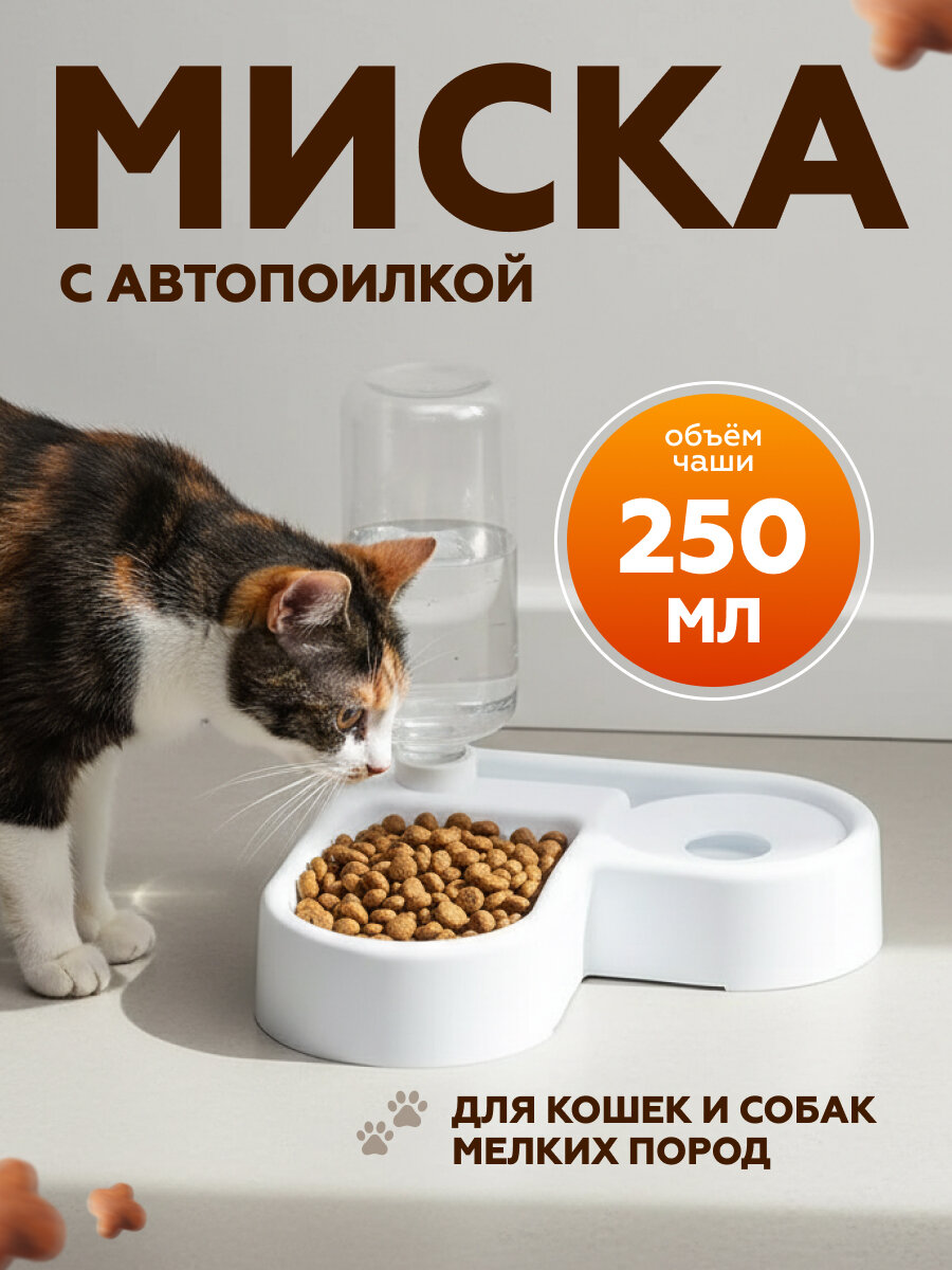 Угловая миска для кошек, двойная миска для животных на подставке для воды и корма