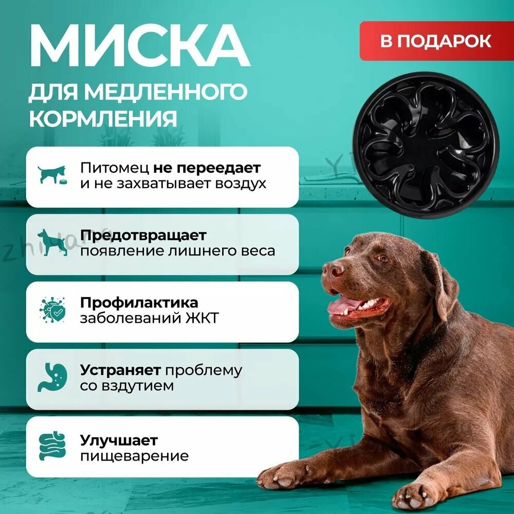 Миска для животных — фото 1