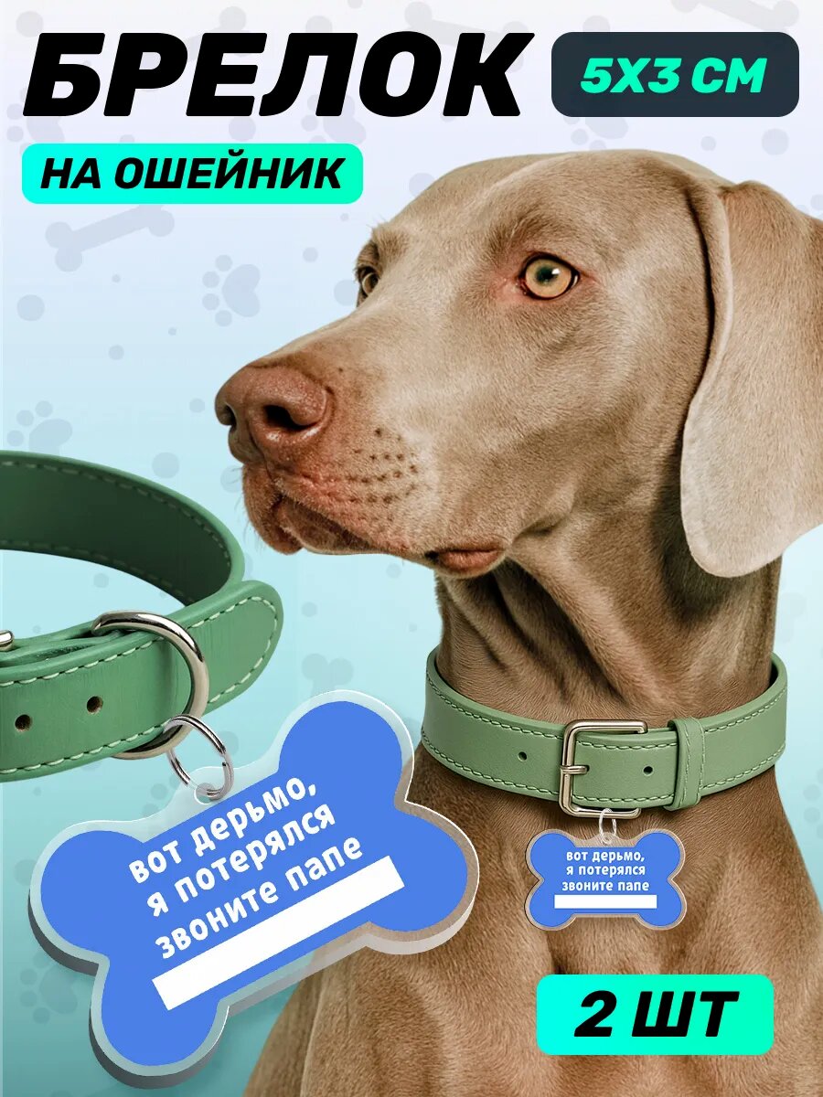 Адресник для собаки на ошейник