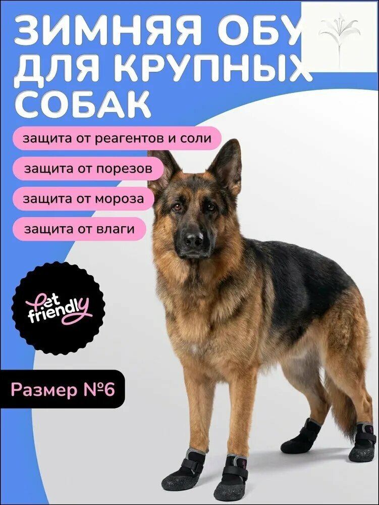 Эксклюзивные ботиночки для питомца-@