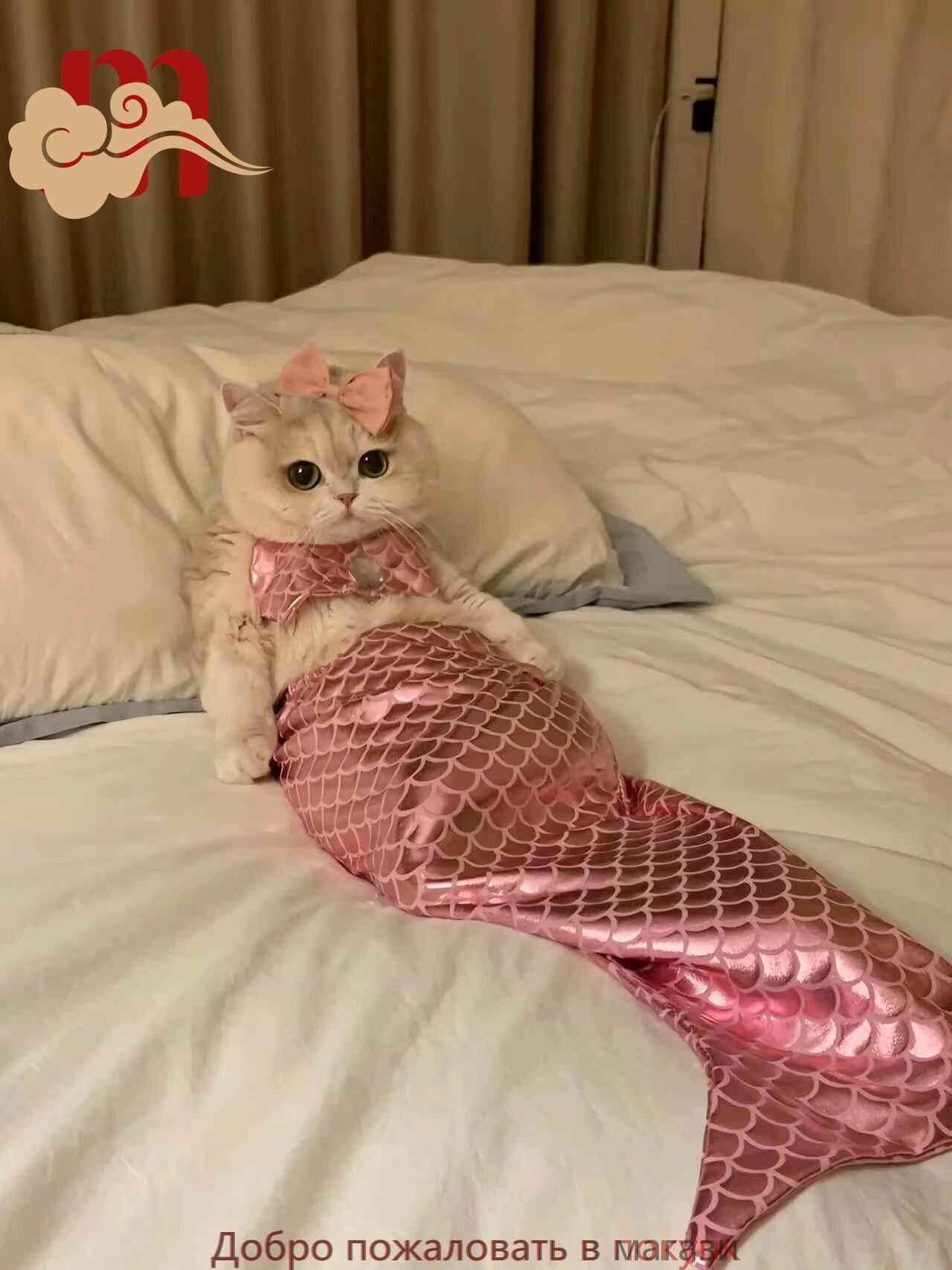 Купальник русалки для кошек и собак, кошка забавный Карнавальный костюм с рыбьим хвостом(5-12 кг)