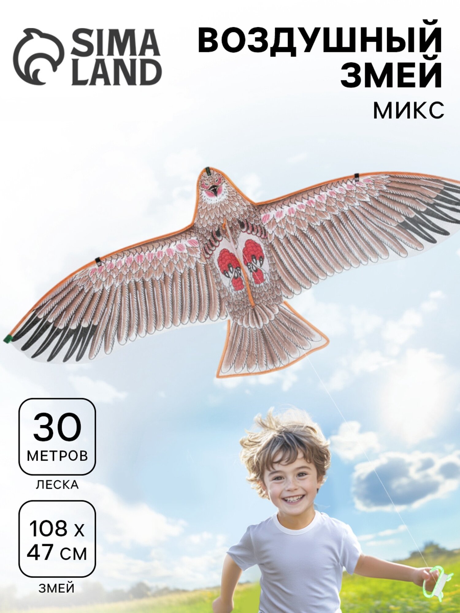 Воздушный змей «Орёл в полете», с леской, цвет микс, от 3 лет