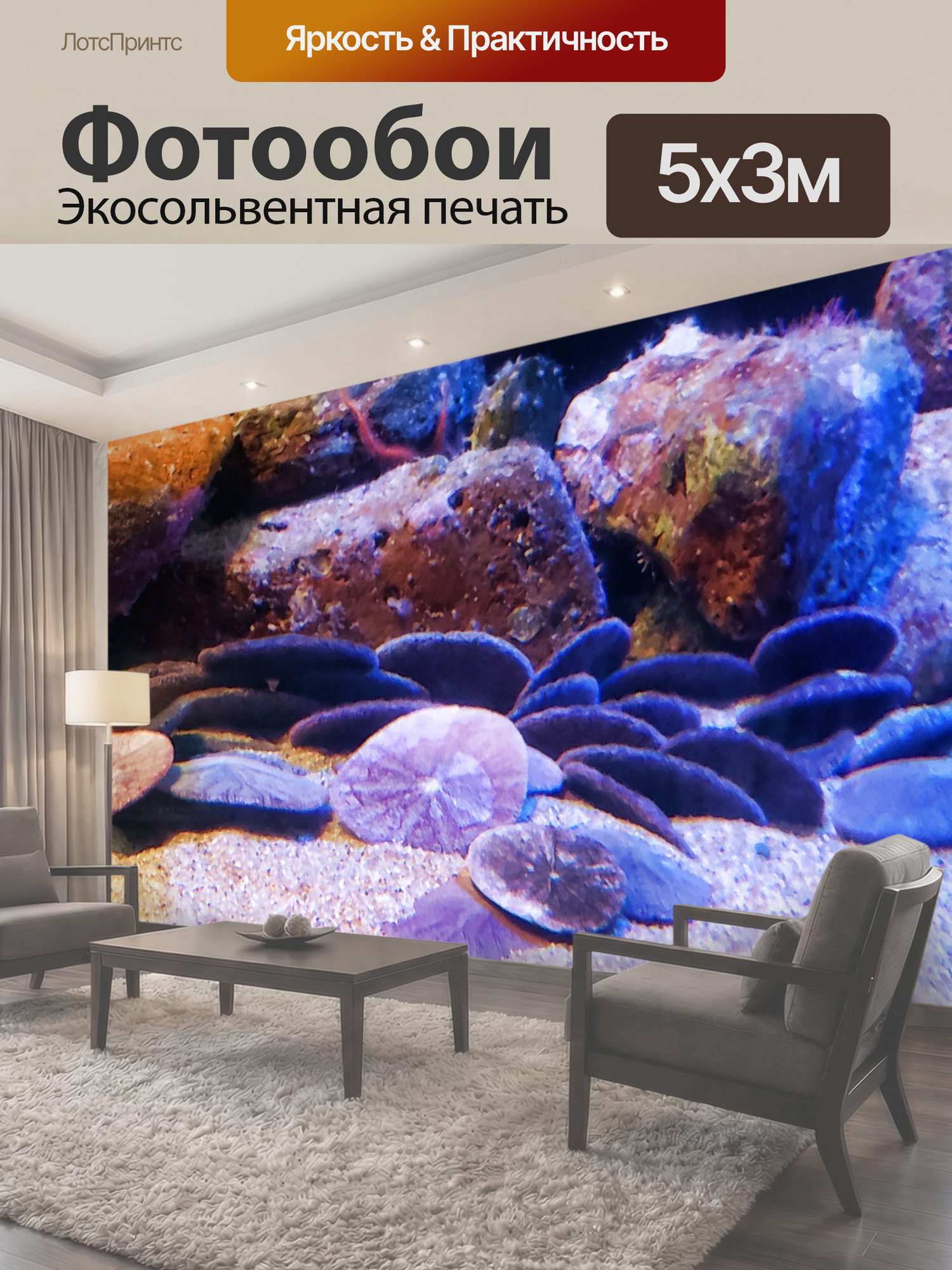 Фотообои "Сан-доллары баннер горизонтальное изображение песчаных долларов в аквариуме аквариум песочные доллары морская жизнь океан соленая вода." 500x300 см. экосольвентная печать