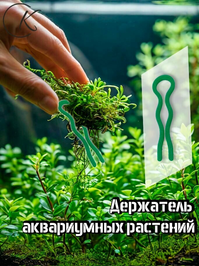 10шт. Держатель для аквариумных растений / Фиксатор Шпилька для аквариумных растений