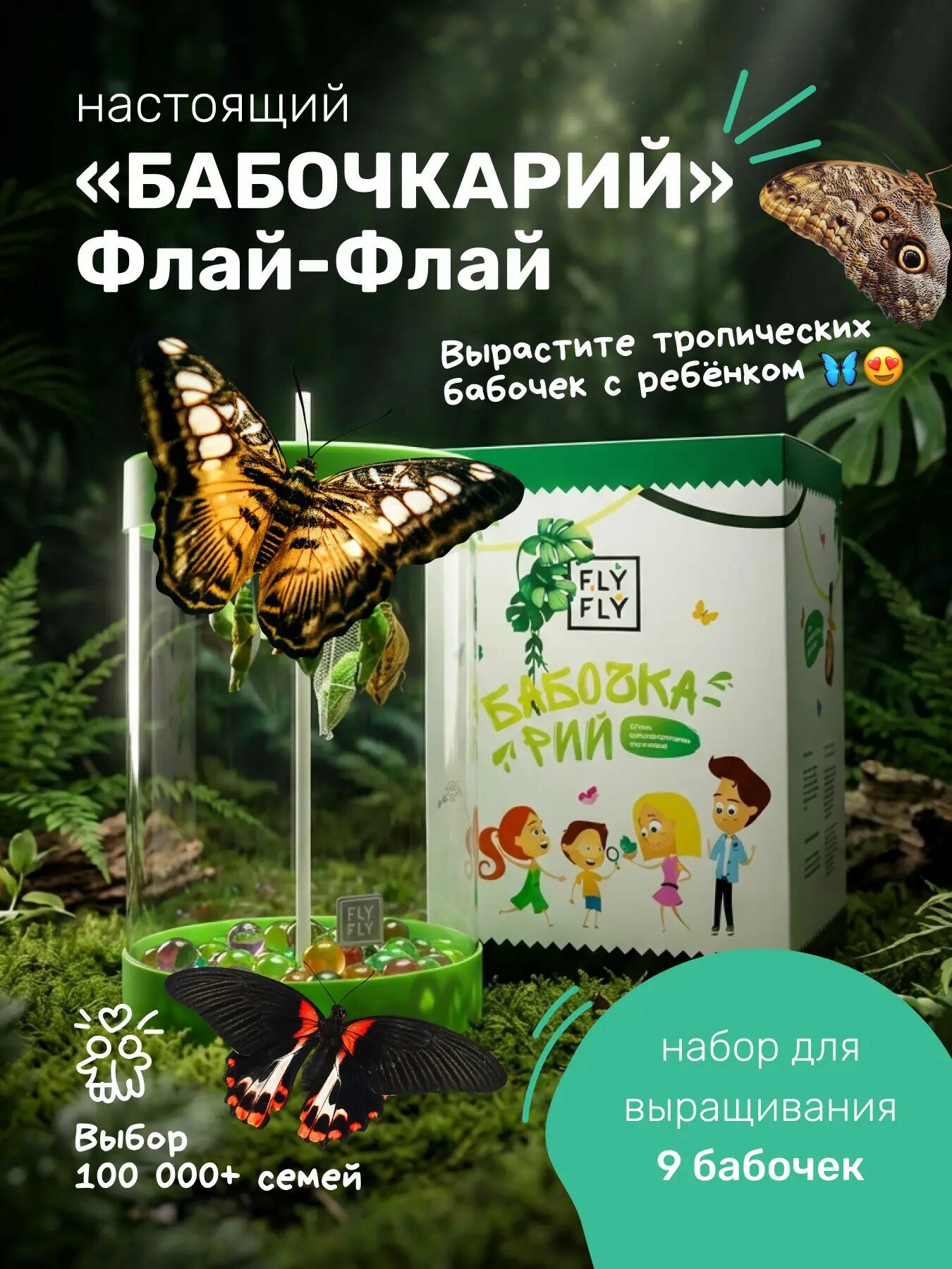 Ферма бабочек "Бабочкарий" на 9 куколок / Детский набор для исследований от Флай-Флай