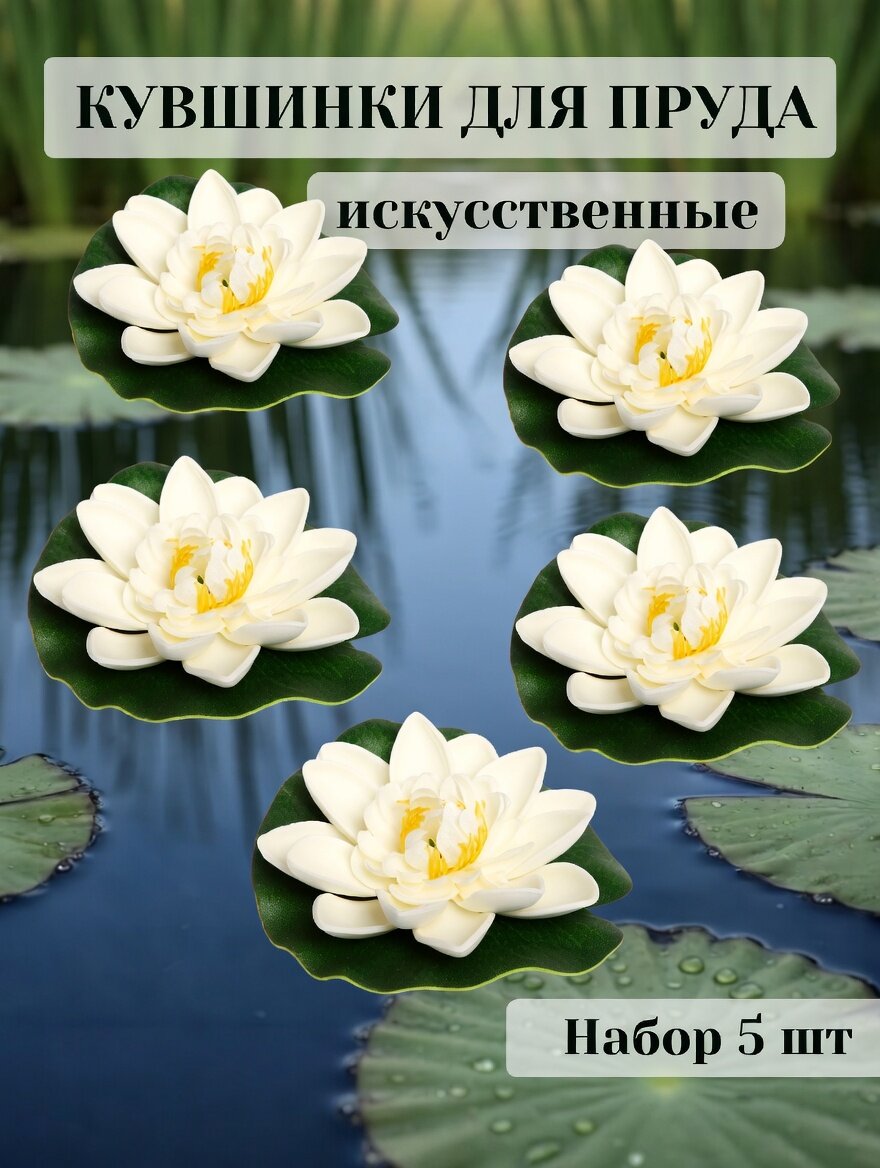 Кувшинки для пруда, Кувшинка садовая декоративная в пруд 5 штук, диаметр 10 см, белая