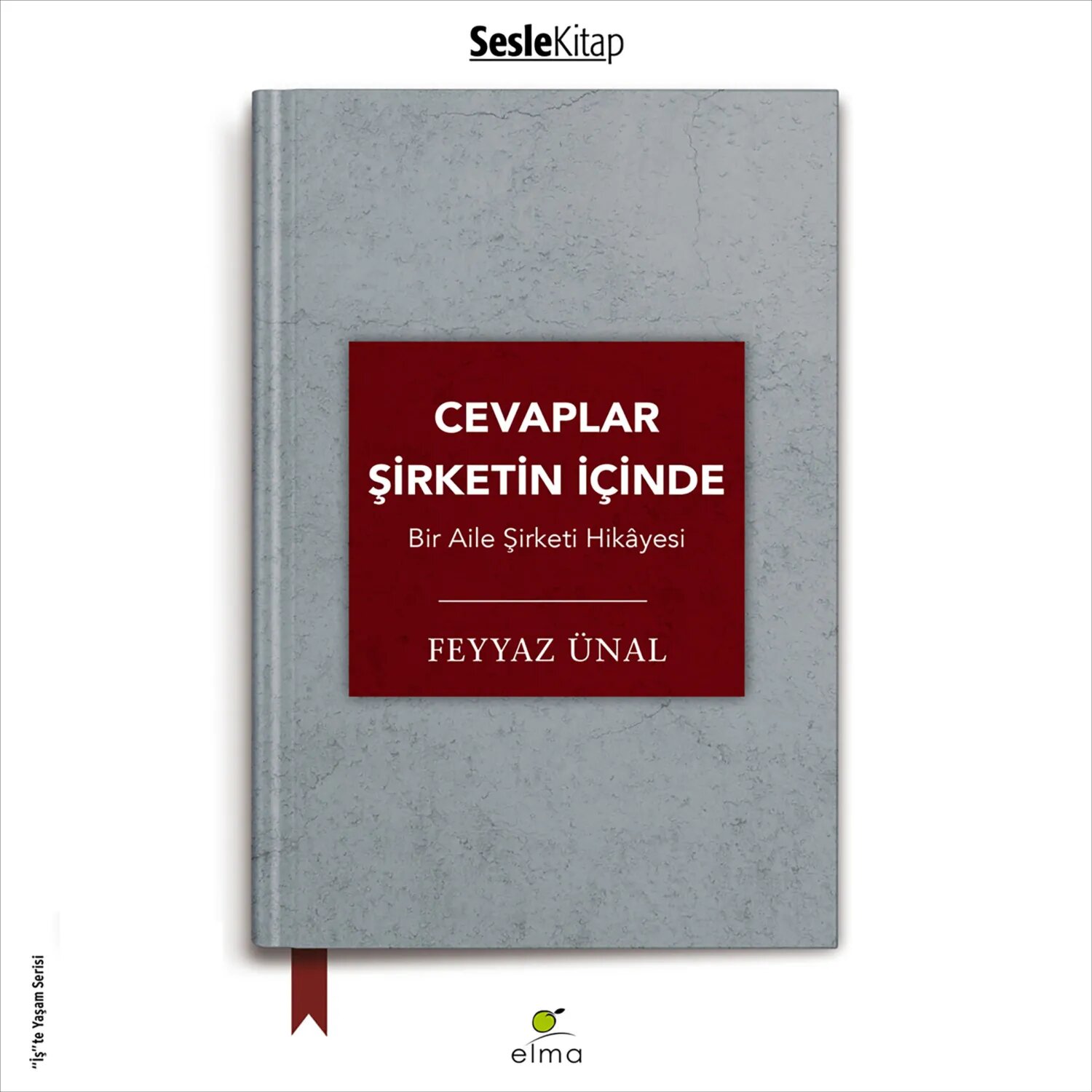 Cevaplar Şirketin İçinde [Аудиокнига]