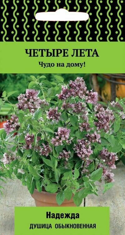 Душица Надежда обыкновенная 20шт (А) /Четыре лета/ Поиск