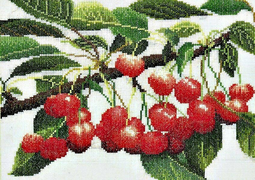 Вышивка Частичная, " Ветка вишневого дерева(Cherry Branch) лен" 36 Edinburgh Thea Gouverneur (Нидерланды) арт. 3014