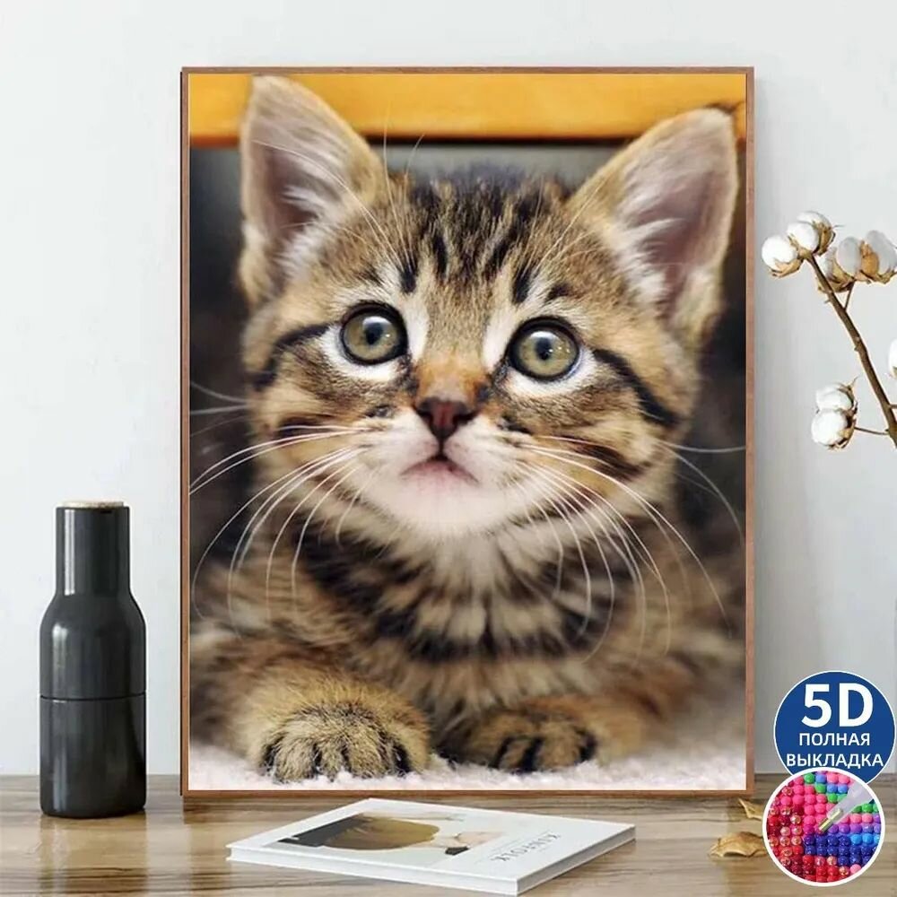 Алмазная мозаика/вышивка "Кошка", 50x40см, холст, без подрамника и рамки