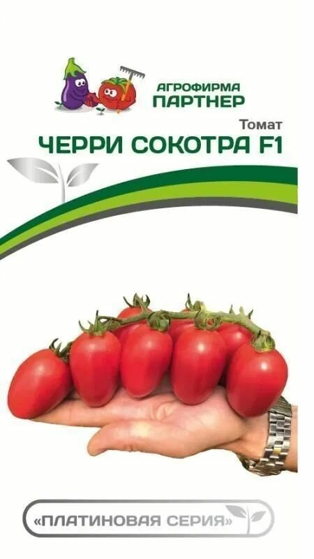 Томат черри Сокотра F1 семена Партнер (1 упаковка-5 шт семян)