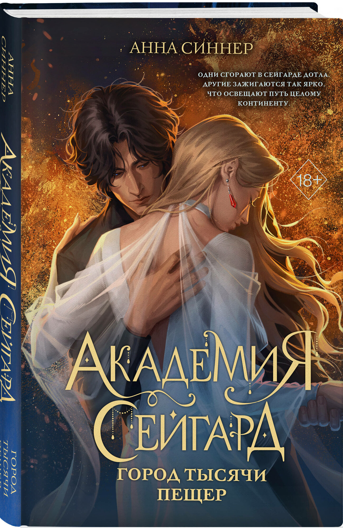 Синнер А. Академия Сейгард. Город тысячи пещер