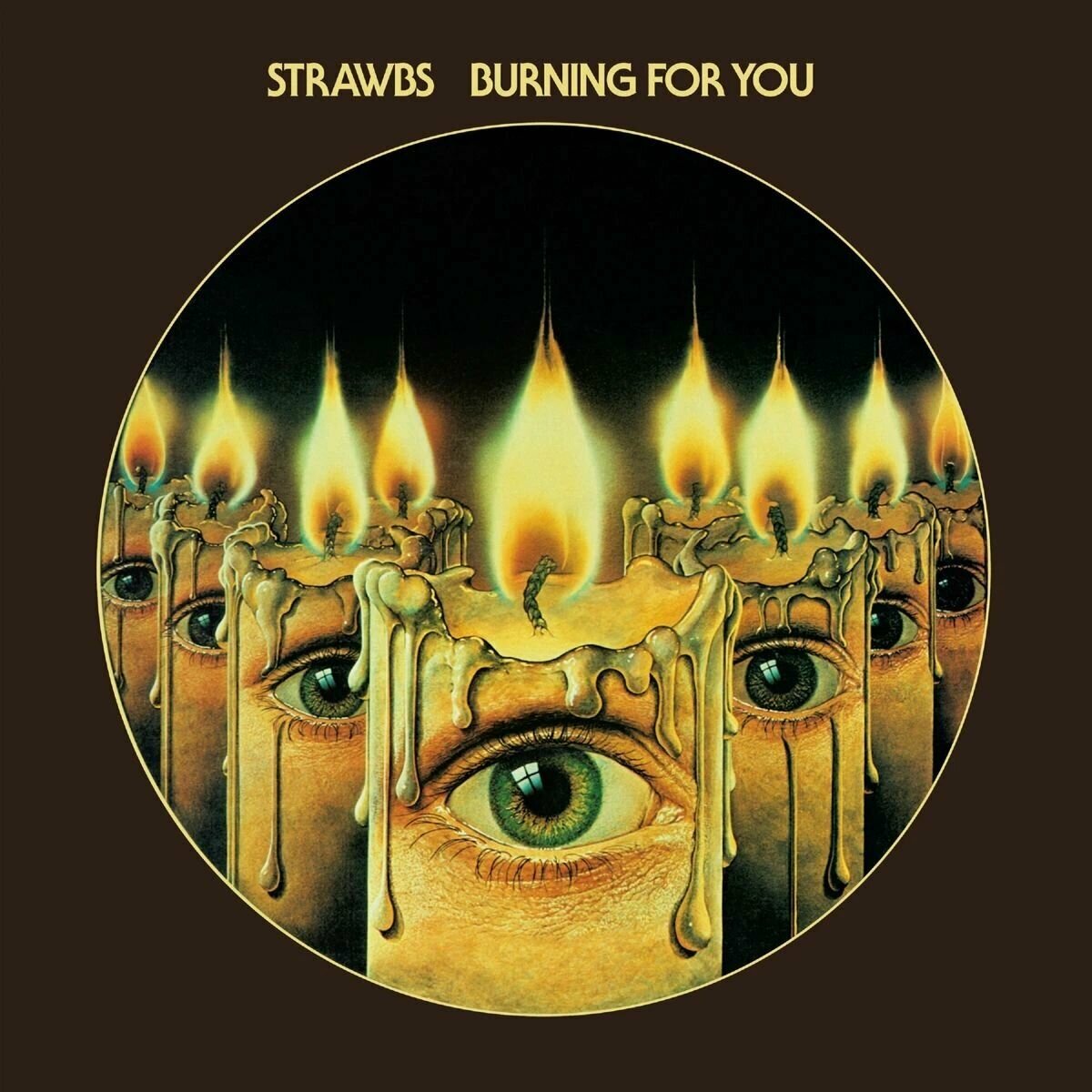 CD диск Strawbs - Burning For You (CD) 2020, Digipack