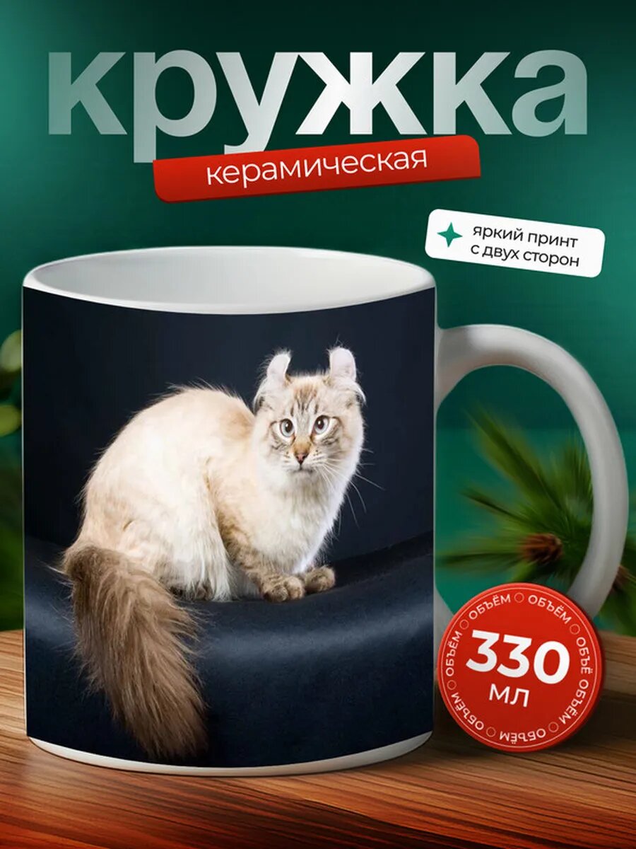 Кружка Маврикийский коралл кот 15,