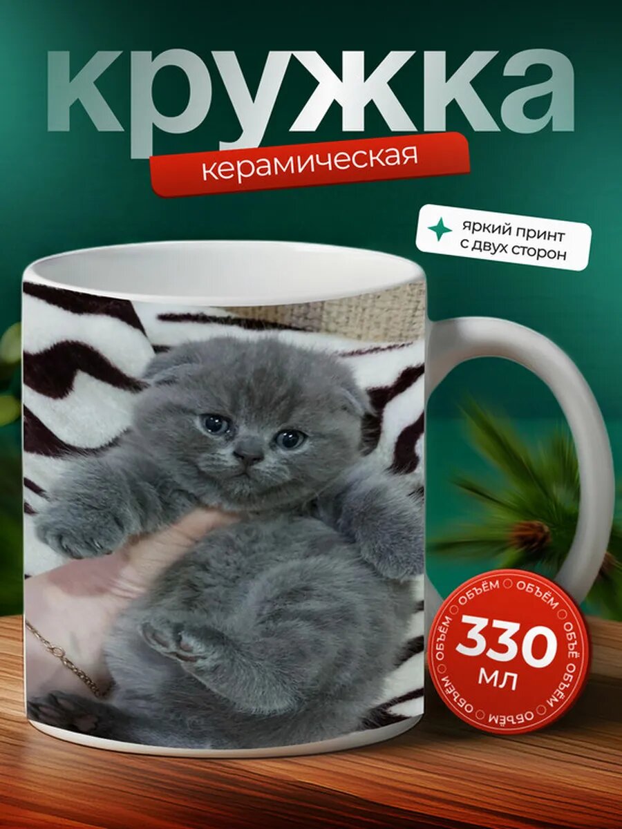 Кружка Британский серебристый кот 29,